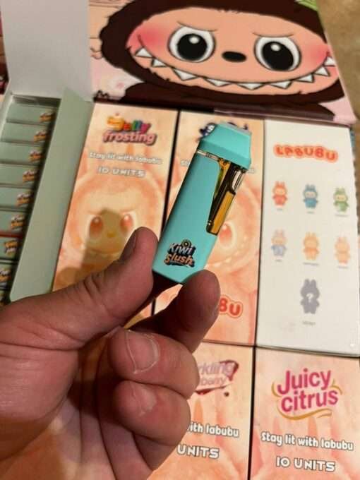 Buy Labubu 2G Disposables Best - Official Disposable Vapes#1